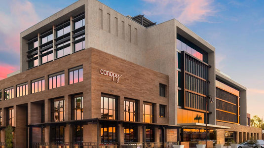 Business Partner Spotlight: Canopy Hilton Scottsdale – Pavilion Fine Arts