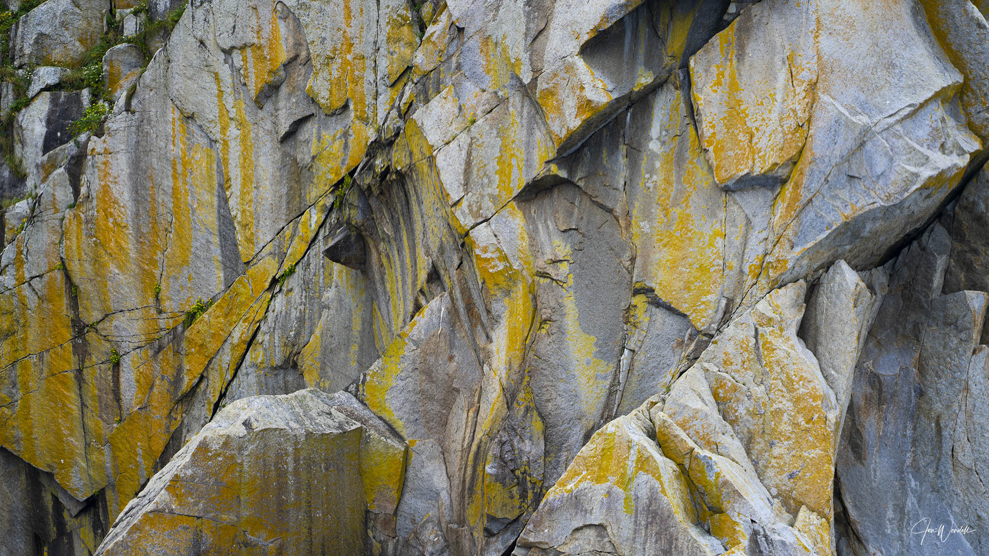 Abstract – Pavilion Fine Arts